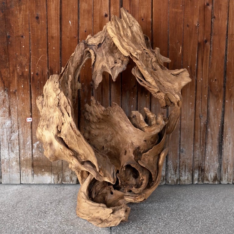 Nebula Natural Wood Sculpture at 1stDibs