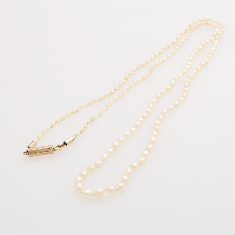 Necklace Made of Fine, Probably Natural Pearls For Sale at 1stDibs