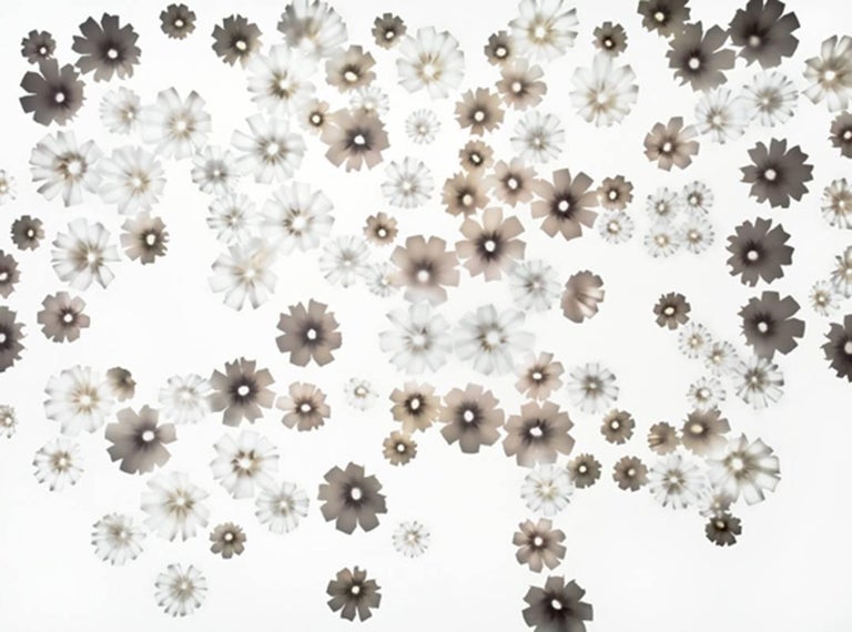 Neeta Madahar - Cosmoses White VI (Positive) For Sale at 1stDibs