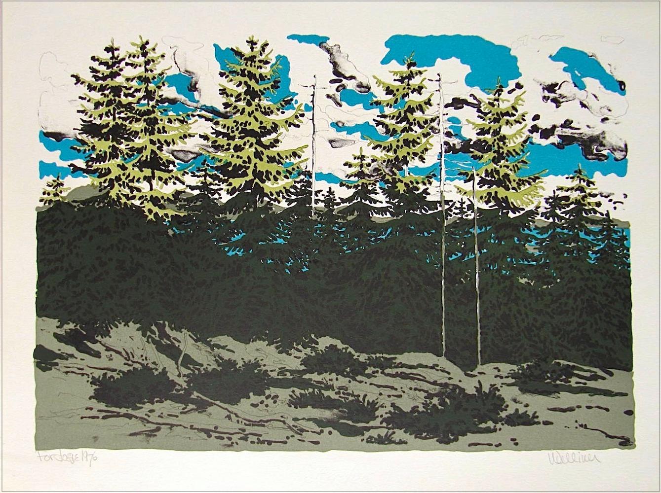 Neil Welliver - FROM ZEKE'S PLACE Signed Lithograph, Maine Landscape ...
