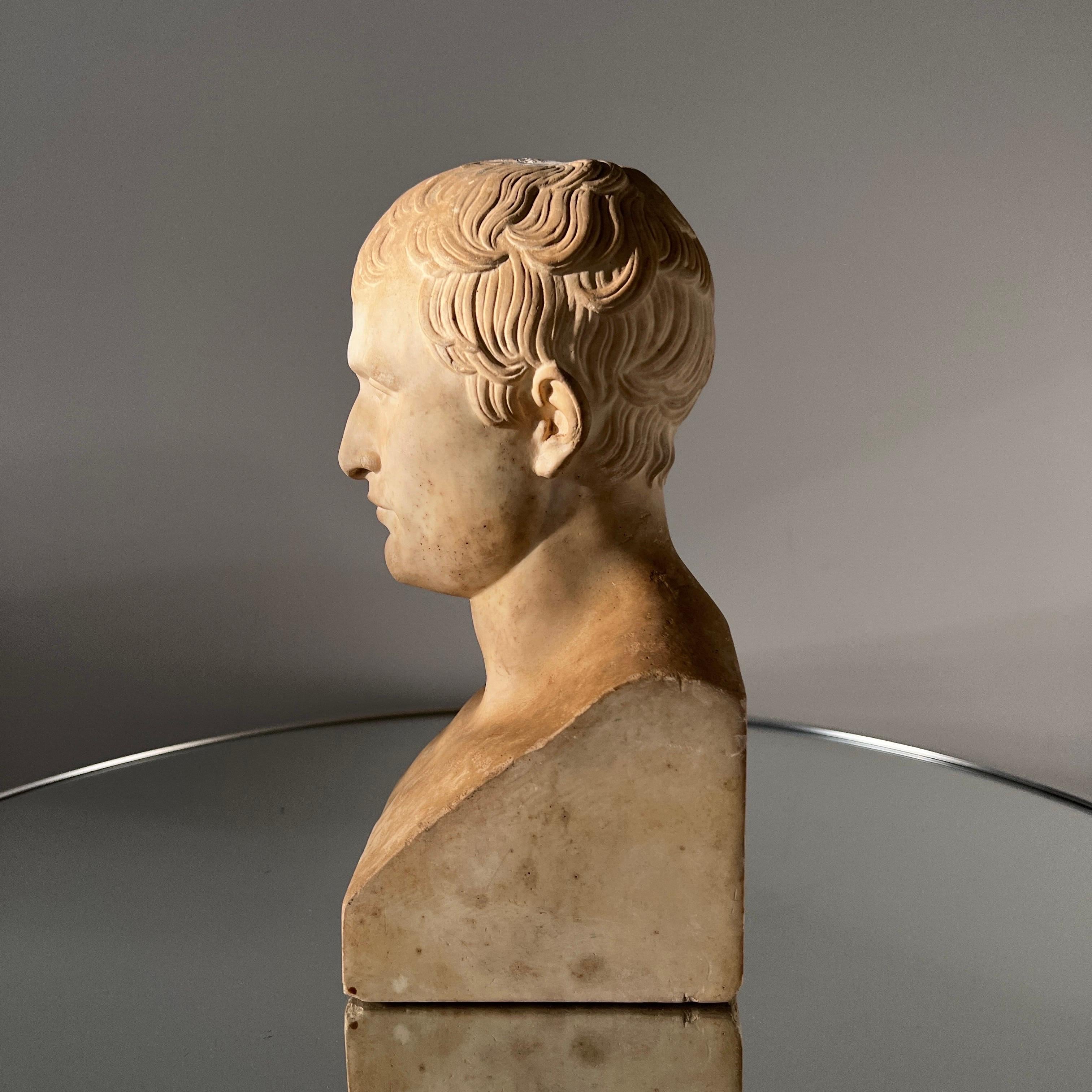 Neoclassical Bust of Napoleon in Plaster, French c. 1970's For Sale at ...