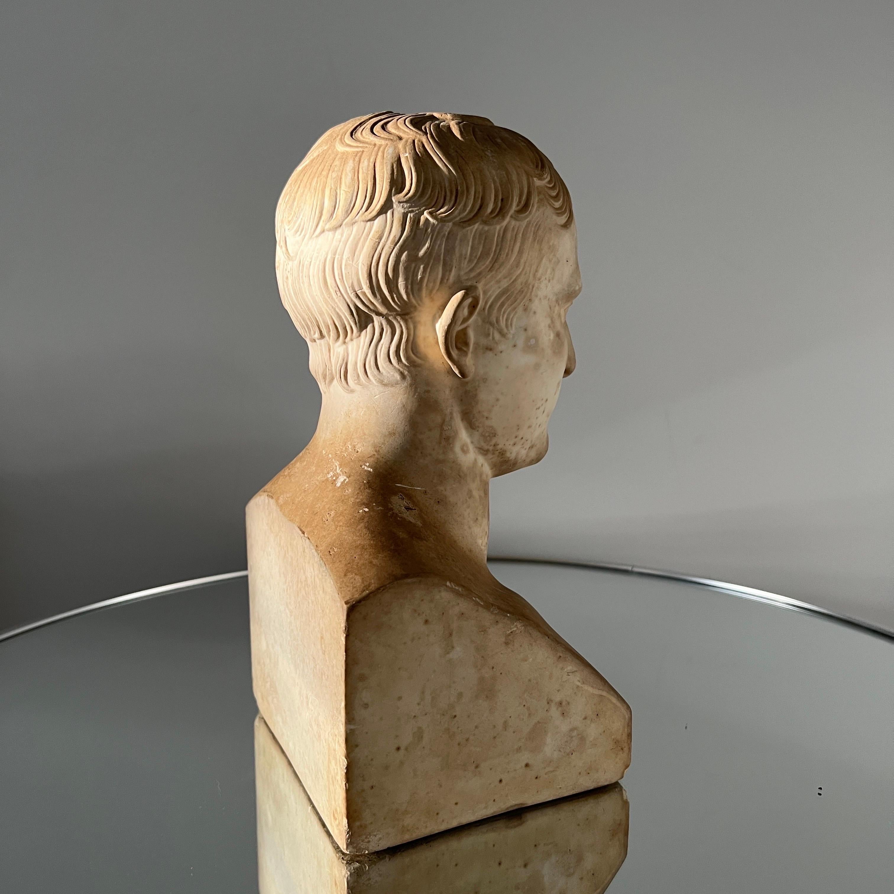 Neoclassical Bust of Napoleon in Plaster, French c. 1970's For Sale at ...