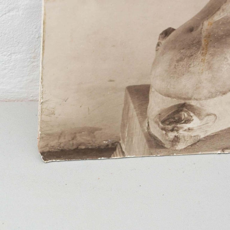 Neptune Sculpture Old Photography on Wood, circa 1950 For Sale at 1stDibs