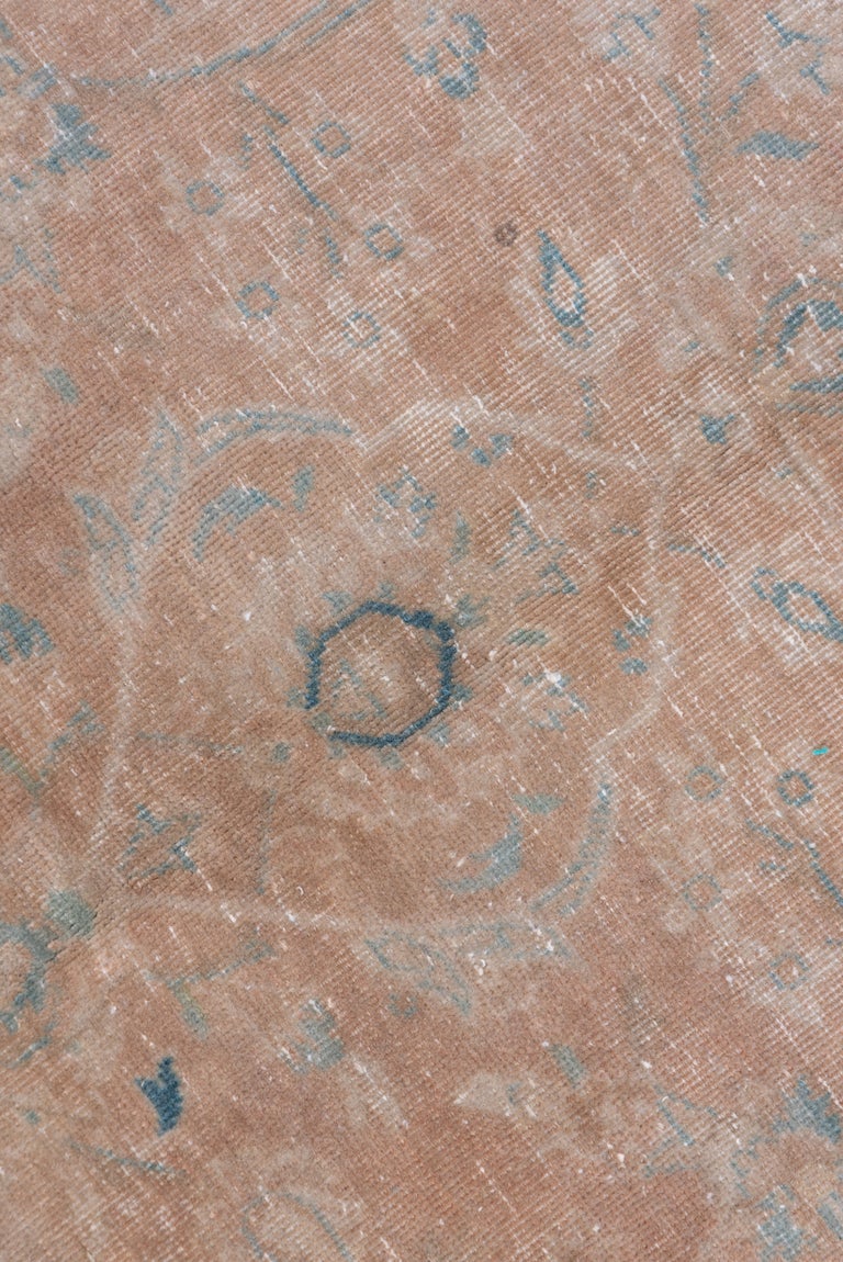 Neutral Persian Kashan Carpet, Blue Borders, Light Brown Palette For ...