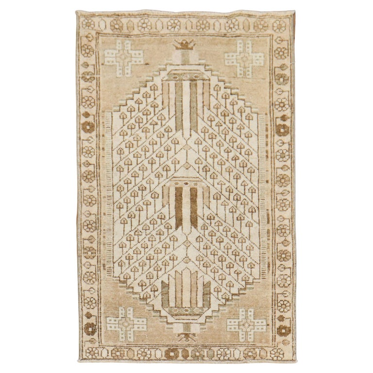 Neutral Persian Malayer Rug For Sale at 1stDibs