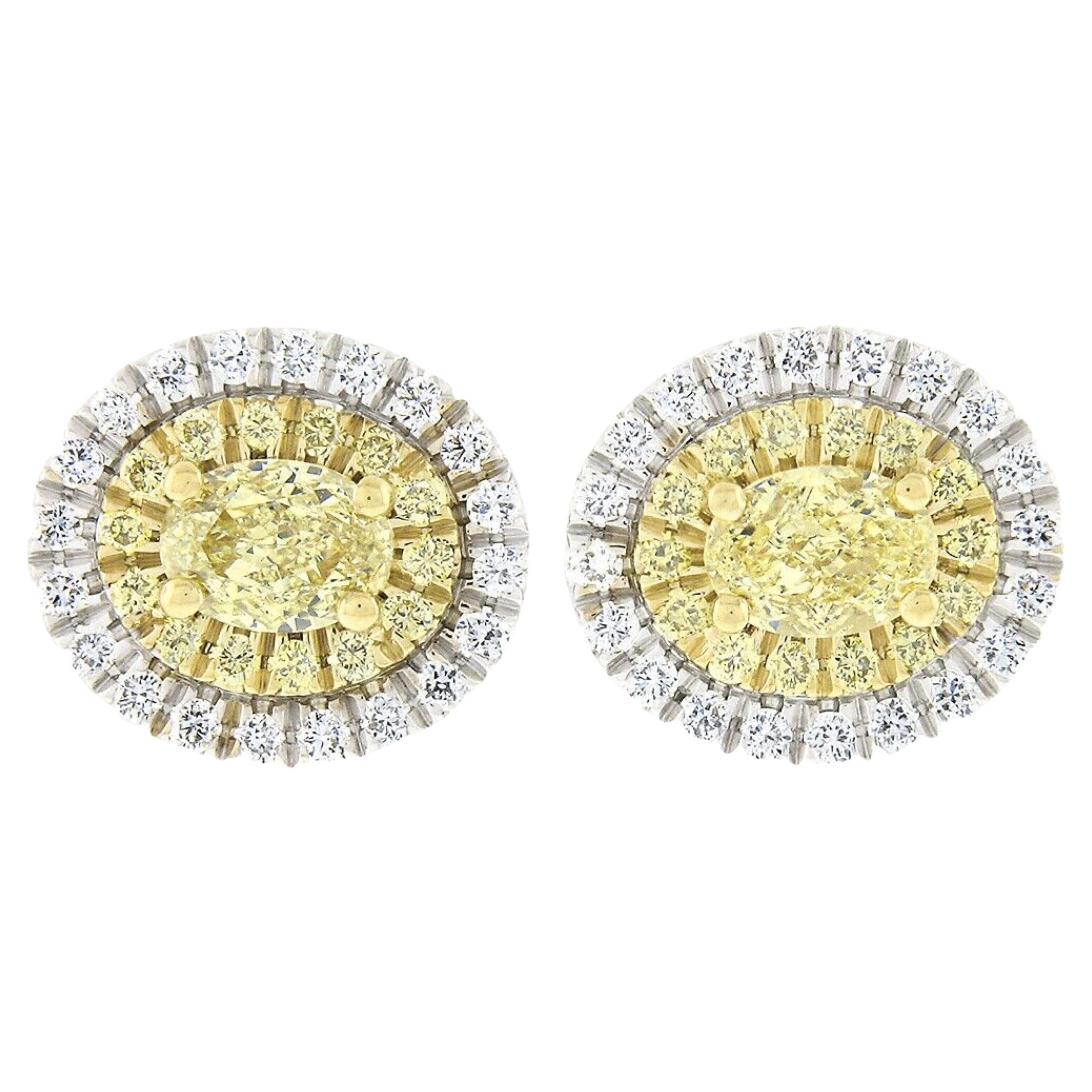 Fancy Light Yellow Round Diamond Stud Earrings with White Diamond Halo ...