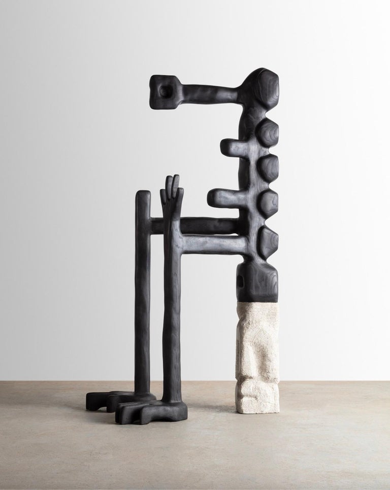 Organic Hand Carved Ebonized Ash Sculpture by Casey McCafferty For Sale ...