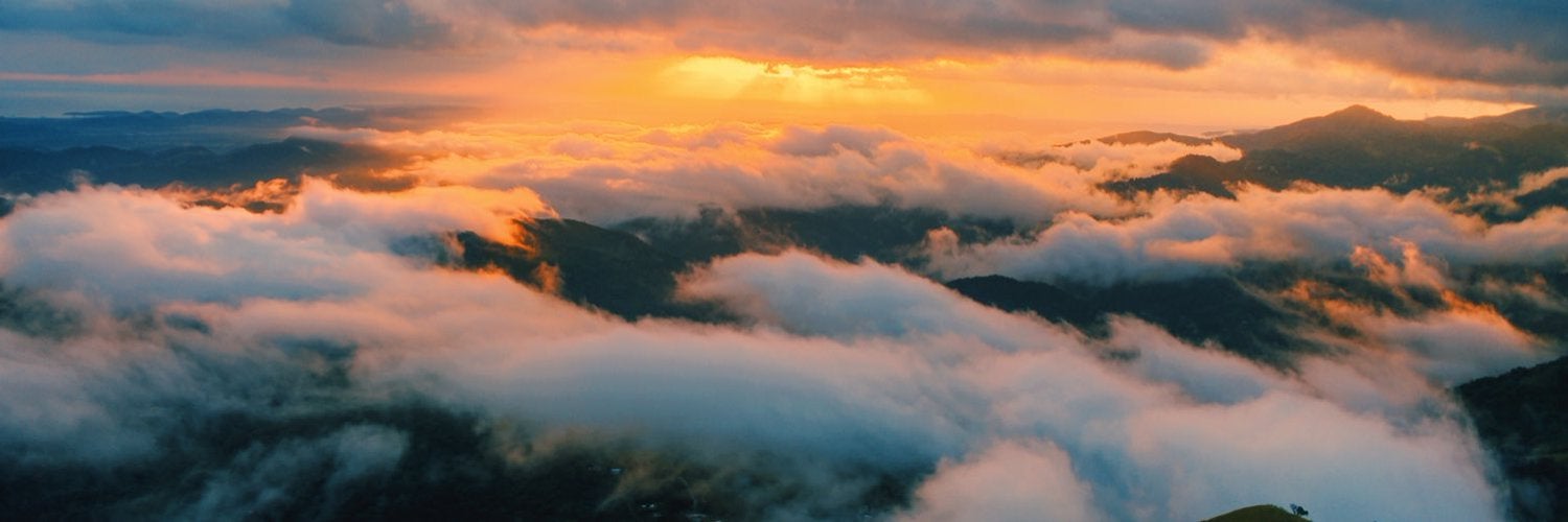 Fernando Samalot | fernandosamalot | NFT creations on @1stdibsNFT