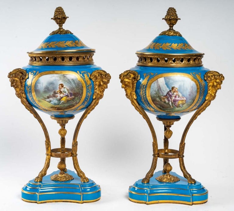 Nice Pair of Light Blue Sèvres Porcelain Vases Signed, 19th Century For ...