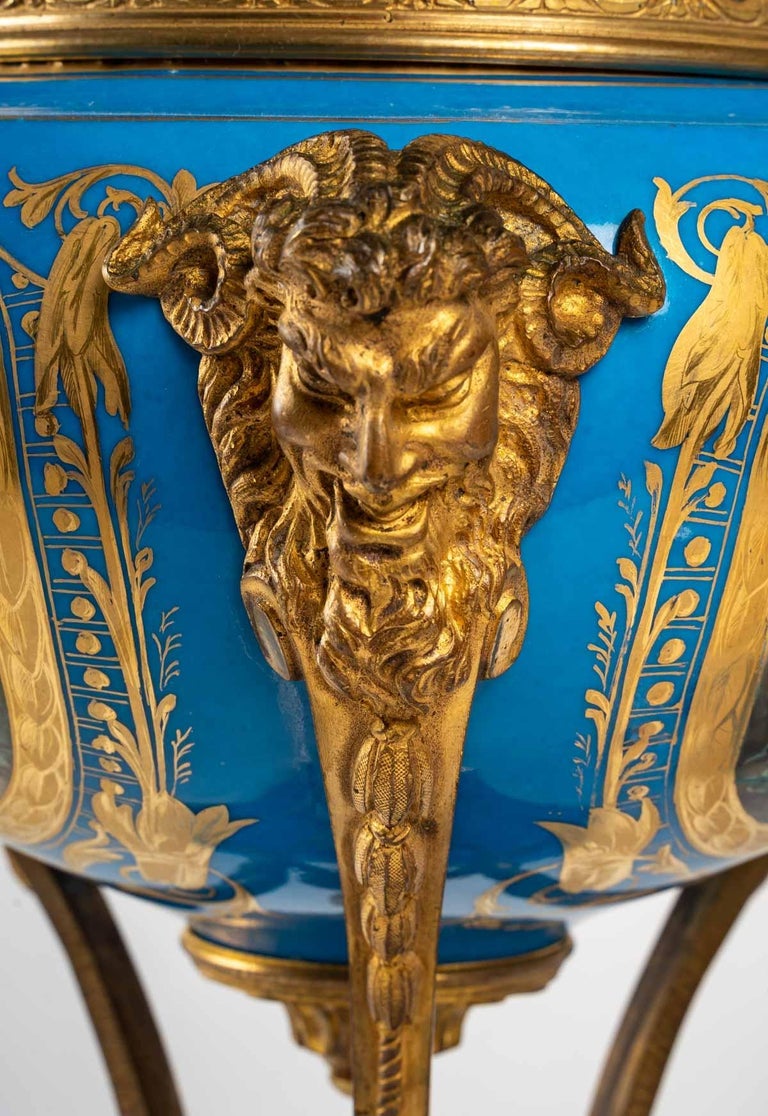 Nice Pair of Light Blue Sèvres Porcelain Vases Signed, 19th Century For ...