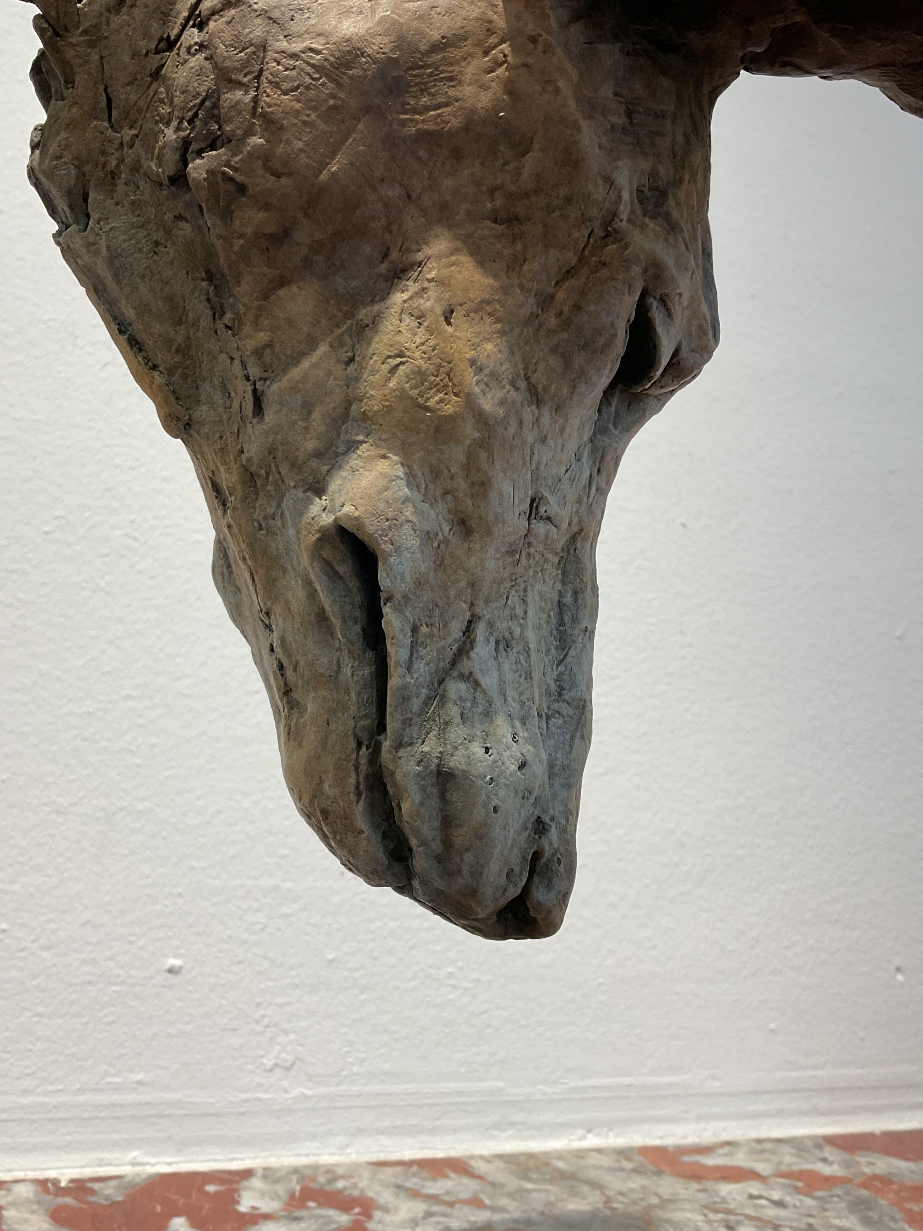 Nichola Theakston - ''Tesem Study'', Contemporary Bronze Sculpture ...