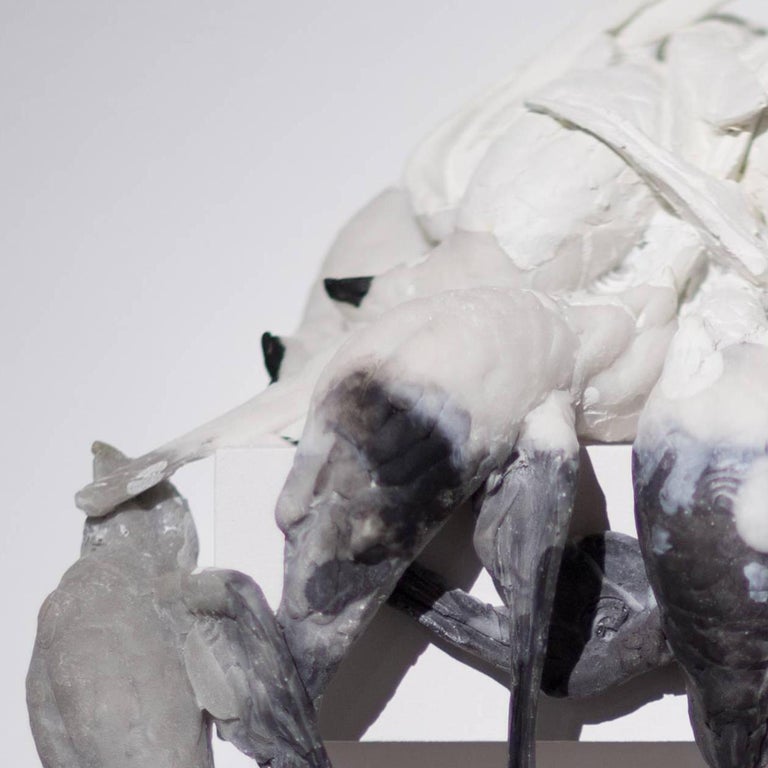 Nicholas Crombach - Sparrows For Sale at 1stDibs