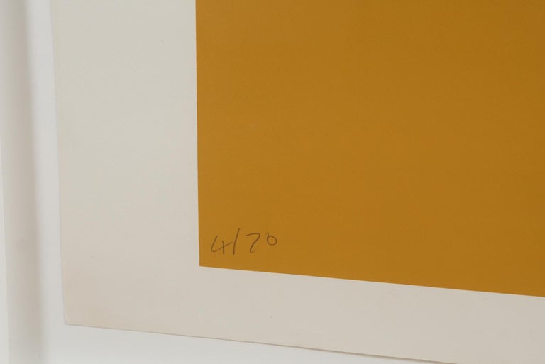 Nicholas Monro, "Craters" Signed Screen Print For Sale at 1stDibs