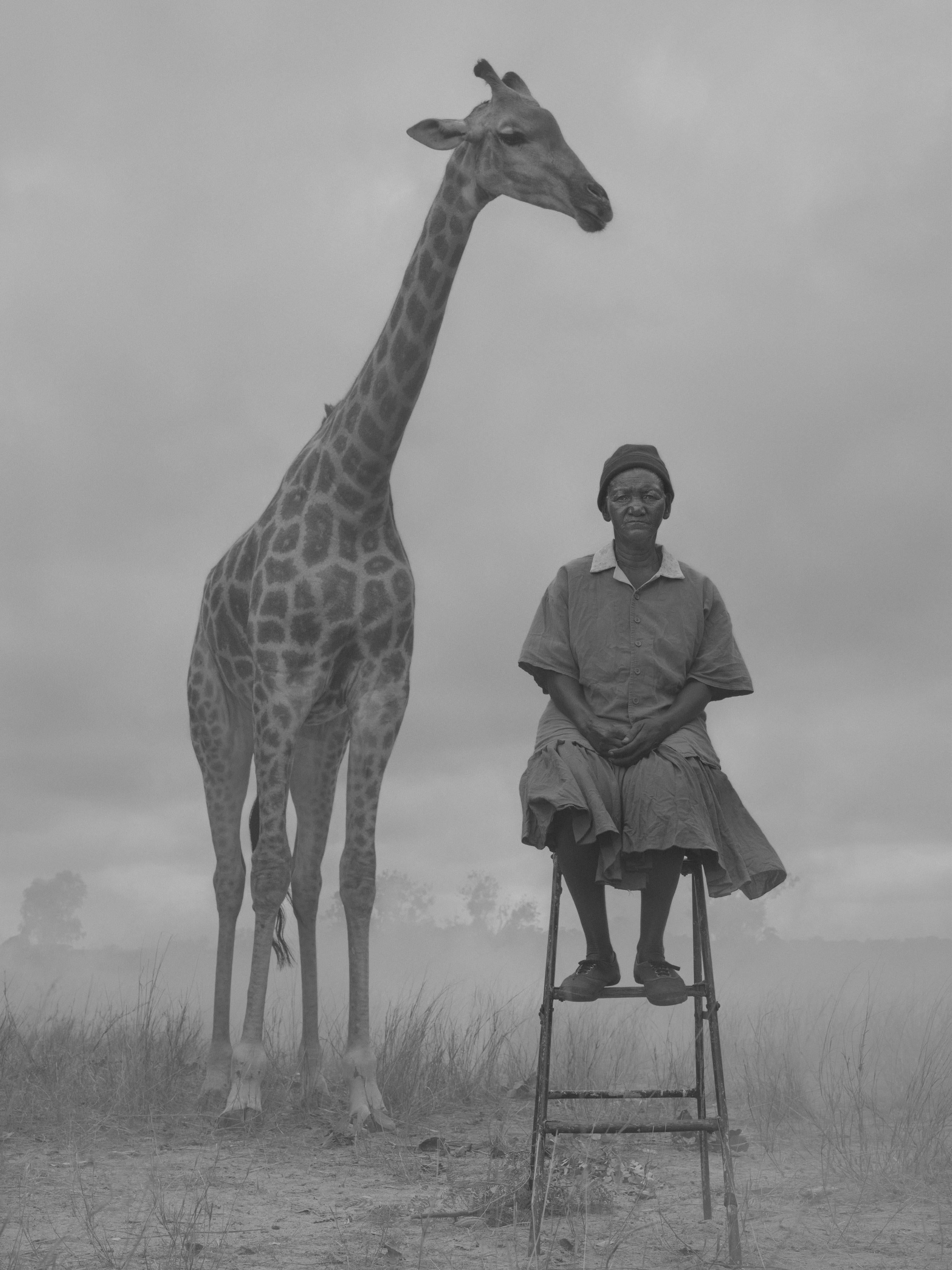 Nick Brandt Art - 69 For Sale at 1stDibs | nick brandt poster, nick ...