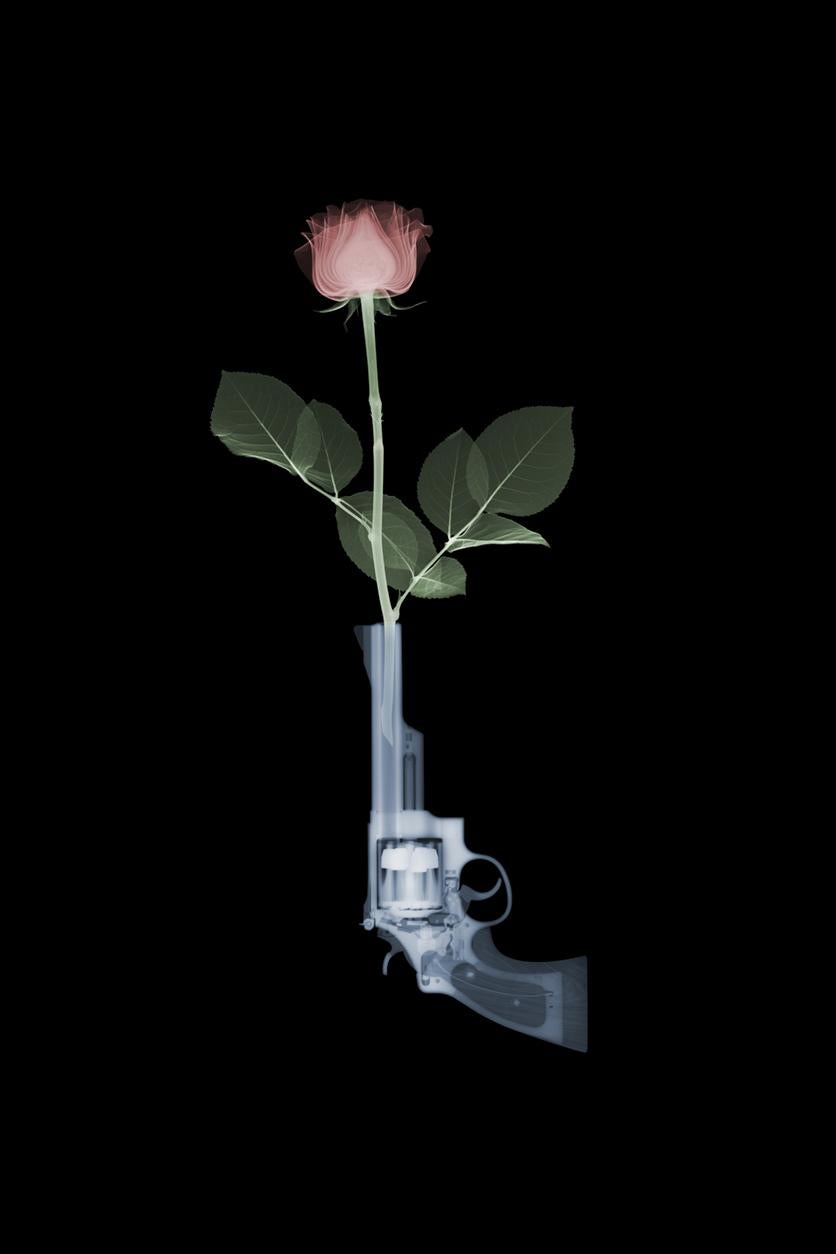 Nick Veasey Art - 71 For Sale at 1stDibs