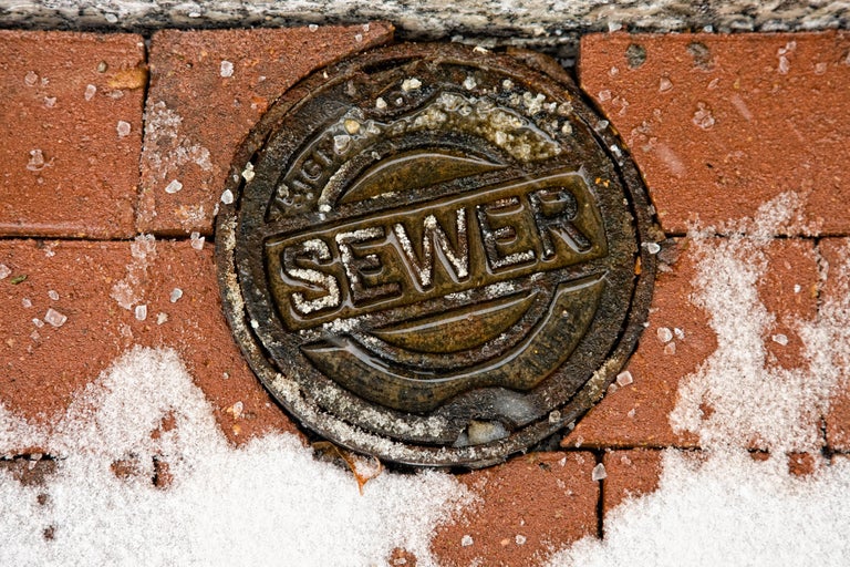 Nick Vedros - Your Mind’s in the Sewer For Sale at 1stDibs