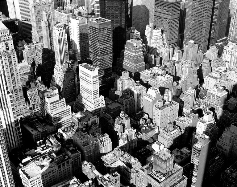 Nicolas Auvray - Wonderland, New York For Sale at 1stDibs