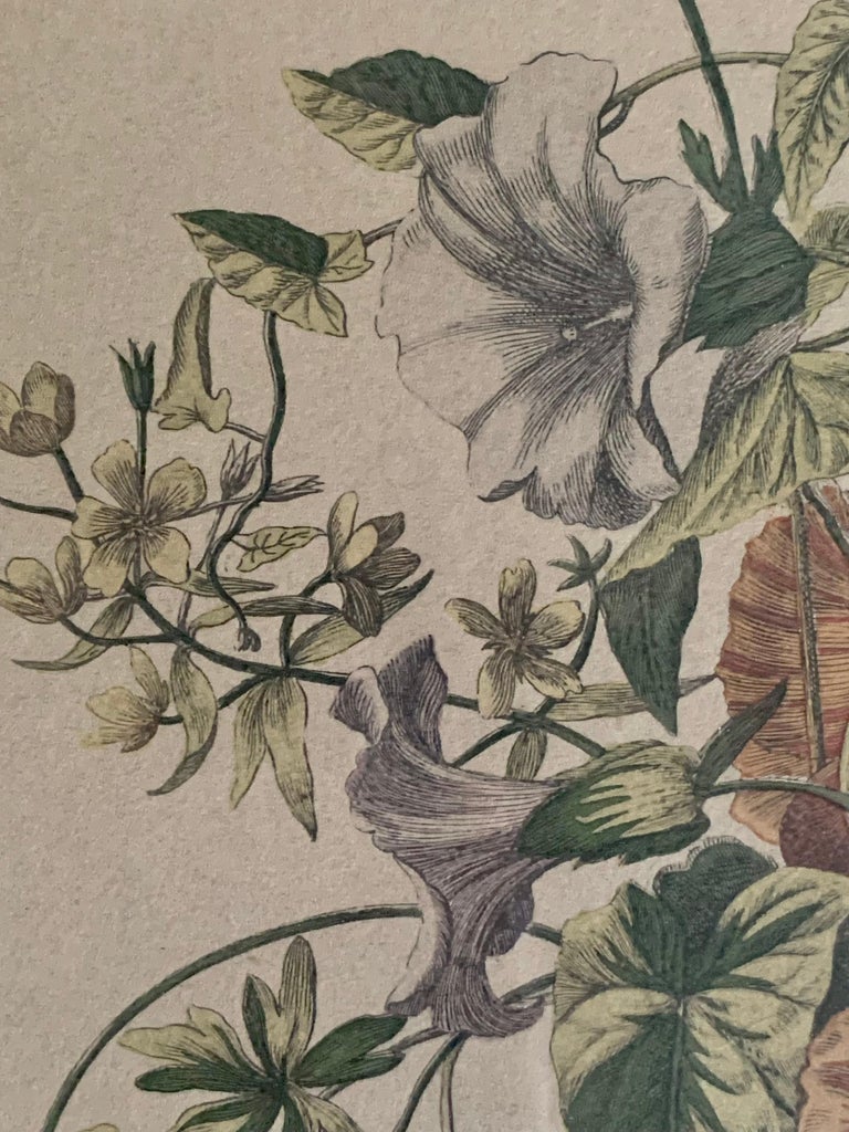 Nicolas Robert " Floral Composition " Engraving 19th Century For Sale ...