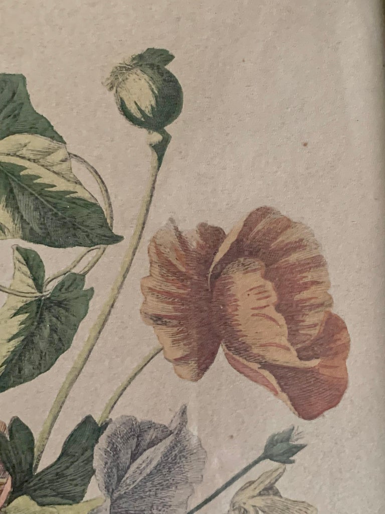 Nicolas Robert " Floral Composition " Engraving 19th Century For Sale ...