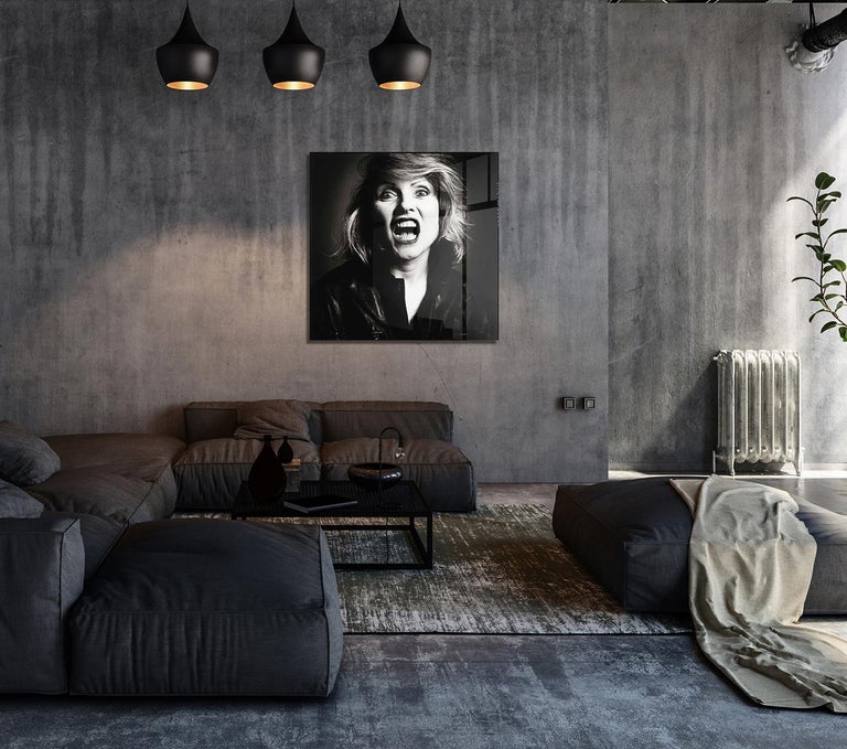 Nigel Parry - art celebrity portrait photography of Debby Harry by ...