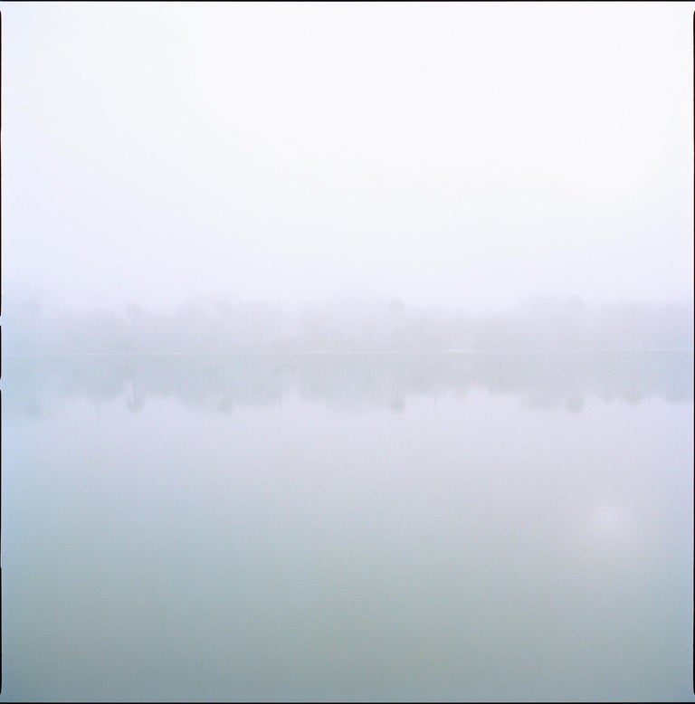 Nigel Parry - Lake II - landscape picture of the blue water with trees ...