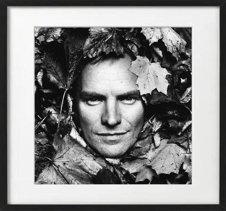 Nigel Parry - Sting, Sting''s Home For Sale at 1stDibs