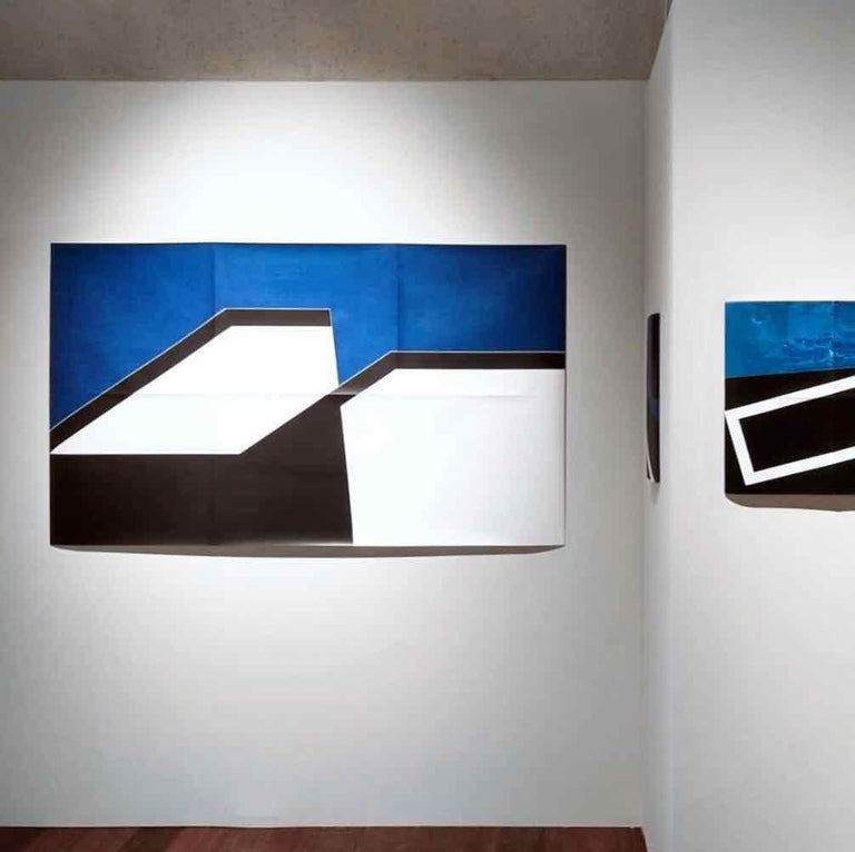 Nikolai Ishchuk - Arcadia 2: Experimental Photogram on Silver Gelatin ...