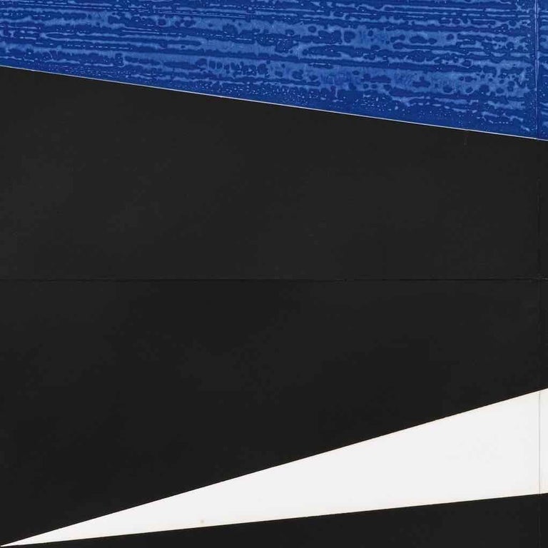 Nikolai Ishchuk - Arcadia (T1): Experimental Photogram on Silver ...