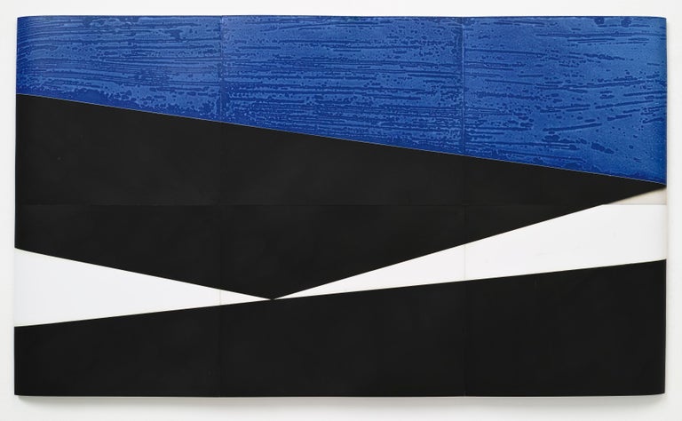 Nikolai Ishchuk - Arcadia (T1): Experimental Photogram on Silver ...