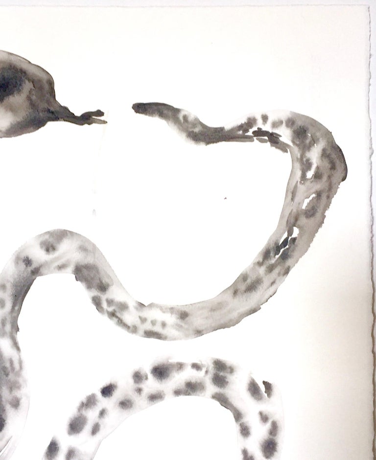 Nina Bovasso - Black and White Snakes ink on Watercolor Paper For Sale ...