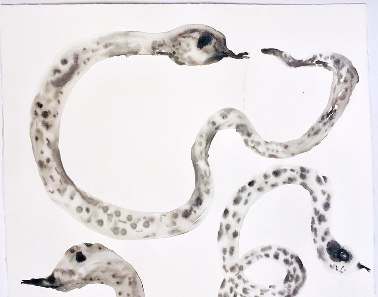 Nina Bovasso - Black and White Snakes ink on Watercolor Paper For Sale ...