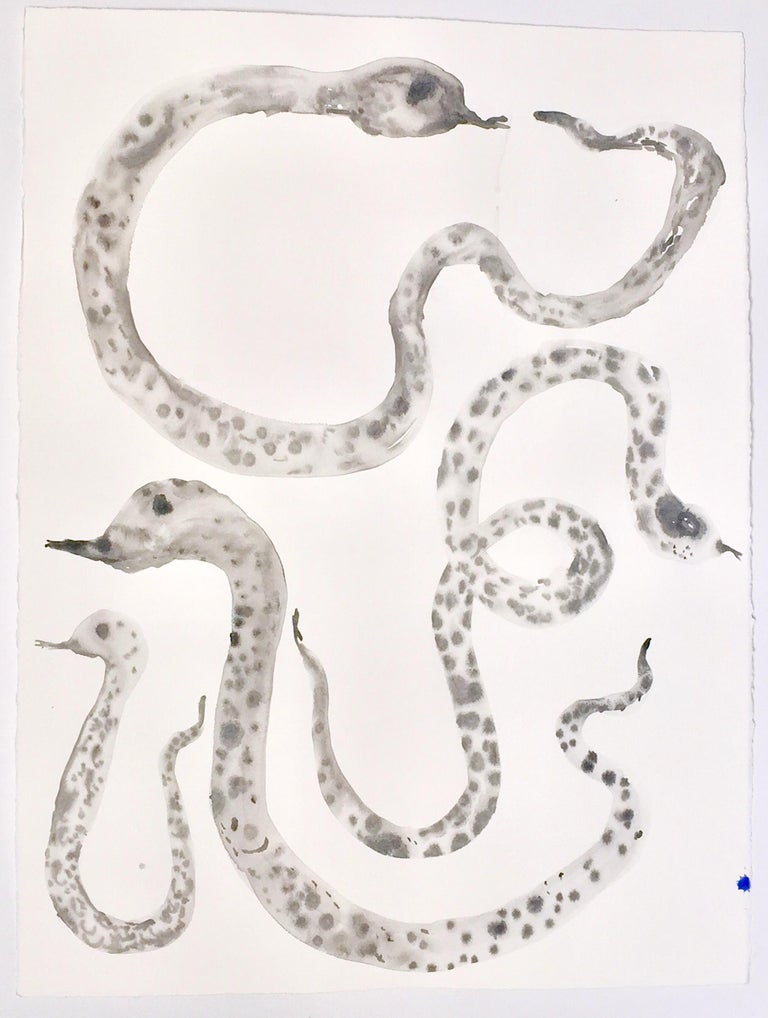 Nina Bovasso - Black and White Snakes ink on Watercolor Paper For Sale ...