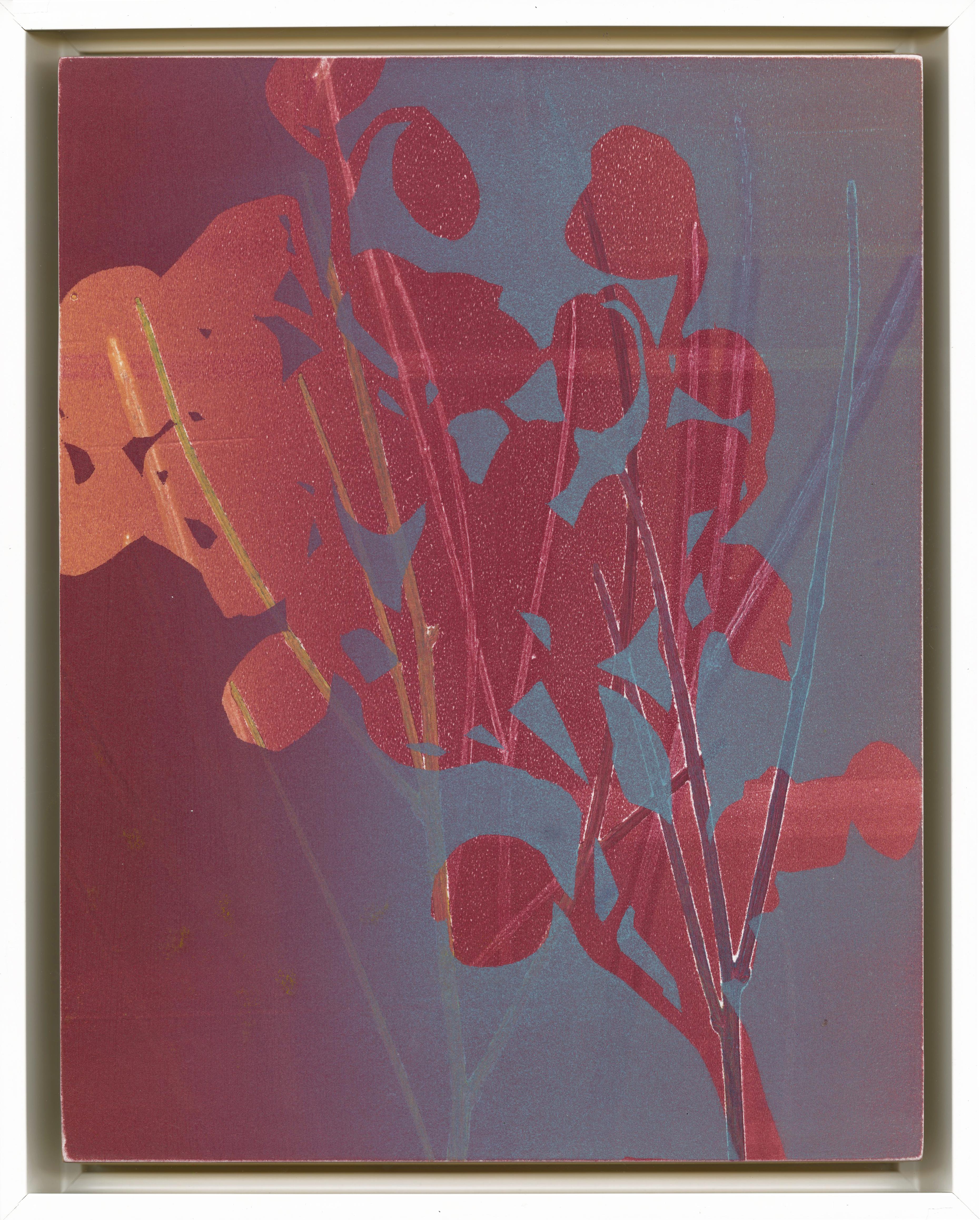 Nina Tichava - Aster Leaf Moonwort+Grass For Sale at 1stDibs