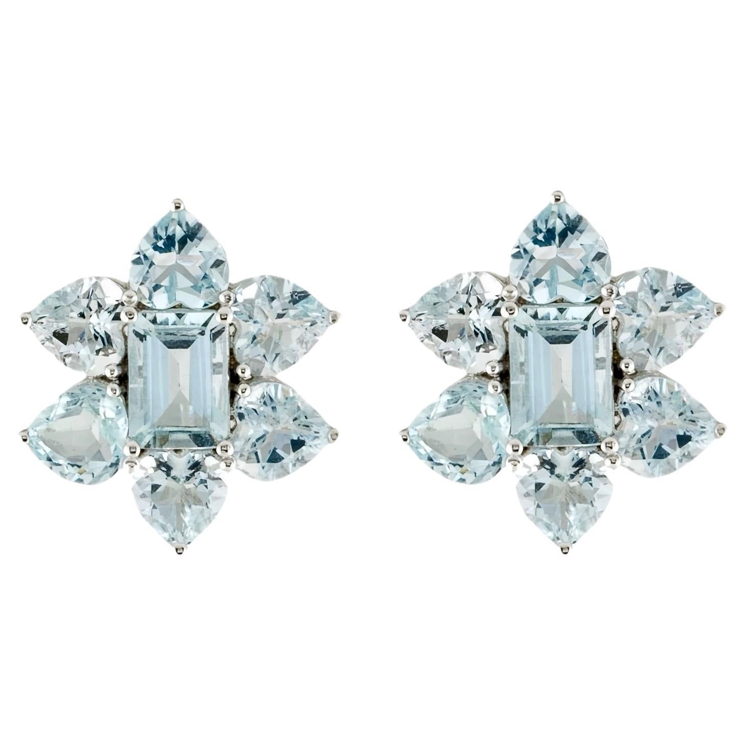 Nina Zhou 5.20ct Aquamarine Cluster Earriings For Sale at 1stDibs