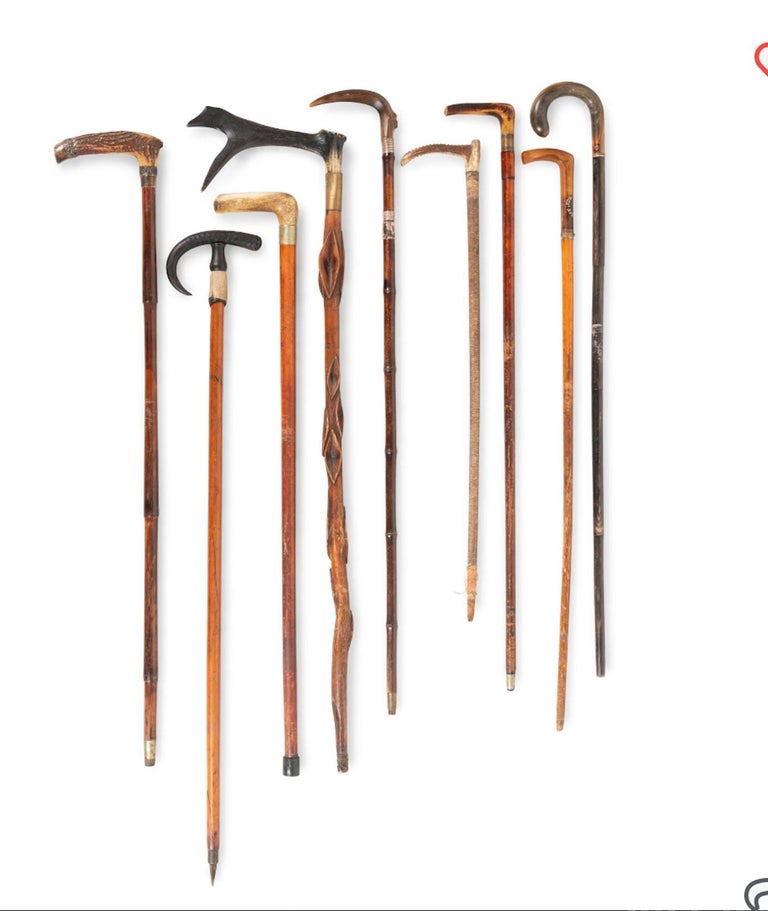 Nine Antler-Mounted Canes and Walking Sticks, Some with Concealed ...