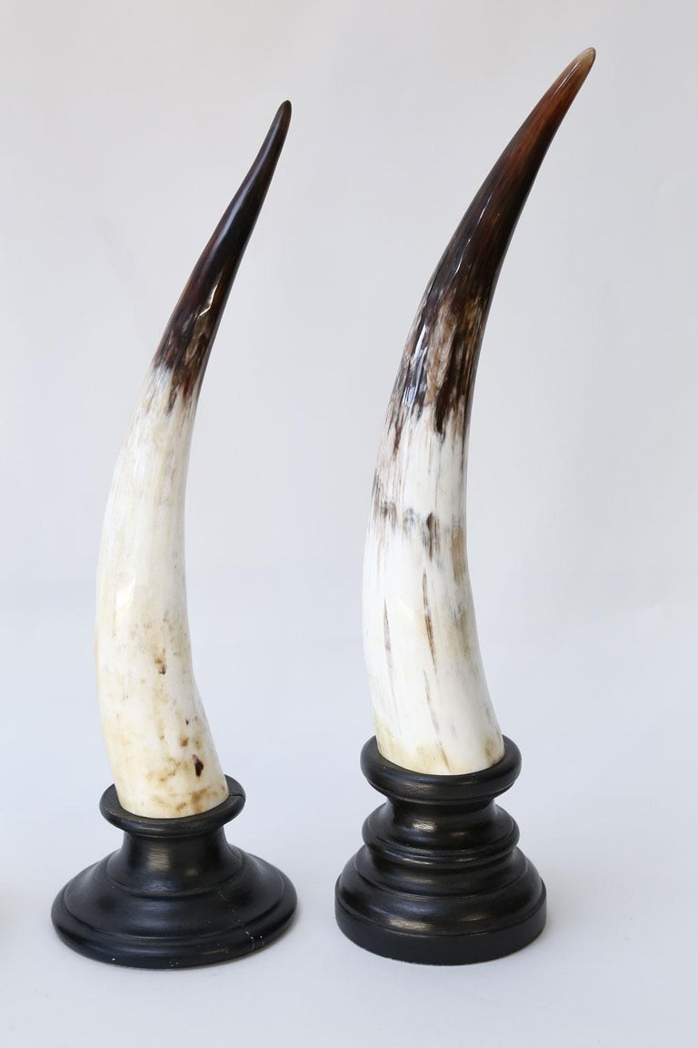 Eight Horn Sculptures For Sale at 1stDibs
