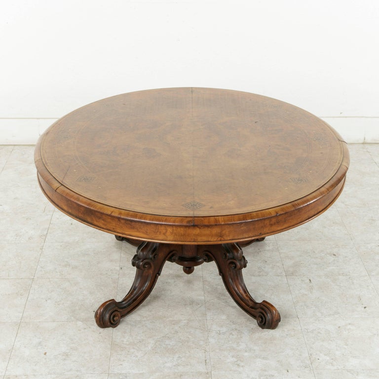 19th Century Burl Walnut and Marquetry English Loo Table or Coffee ...