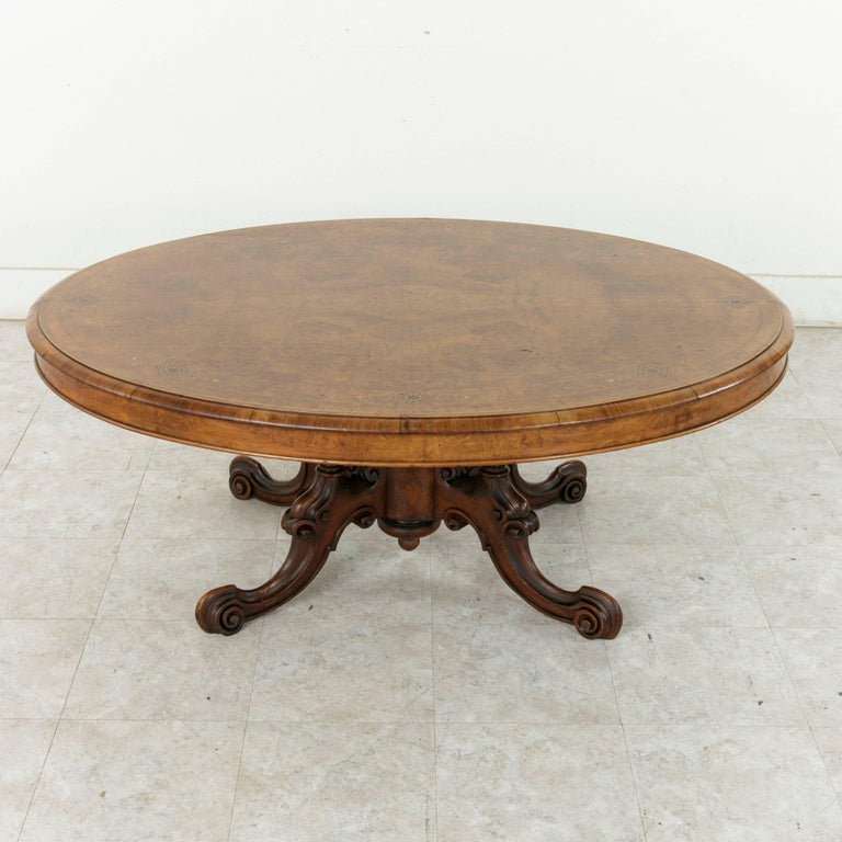 19th Century Burl Walnut and Marquetry English Loo Table or Coffee ...