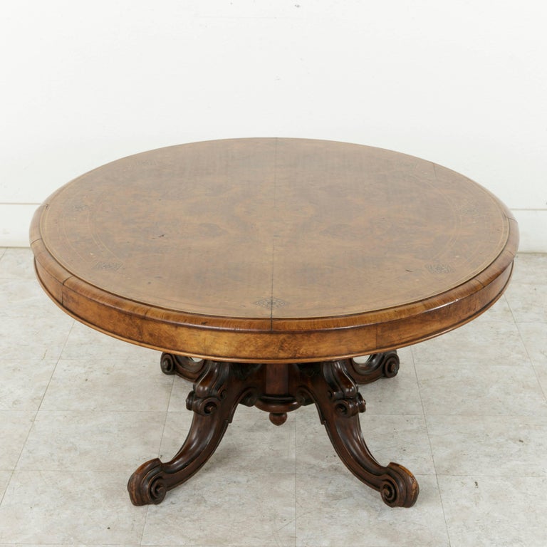 19th Century Burl Walnut and Marquetry English Loo Table or Coffee ...