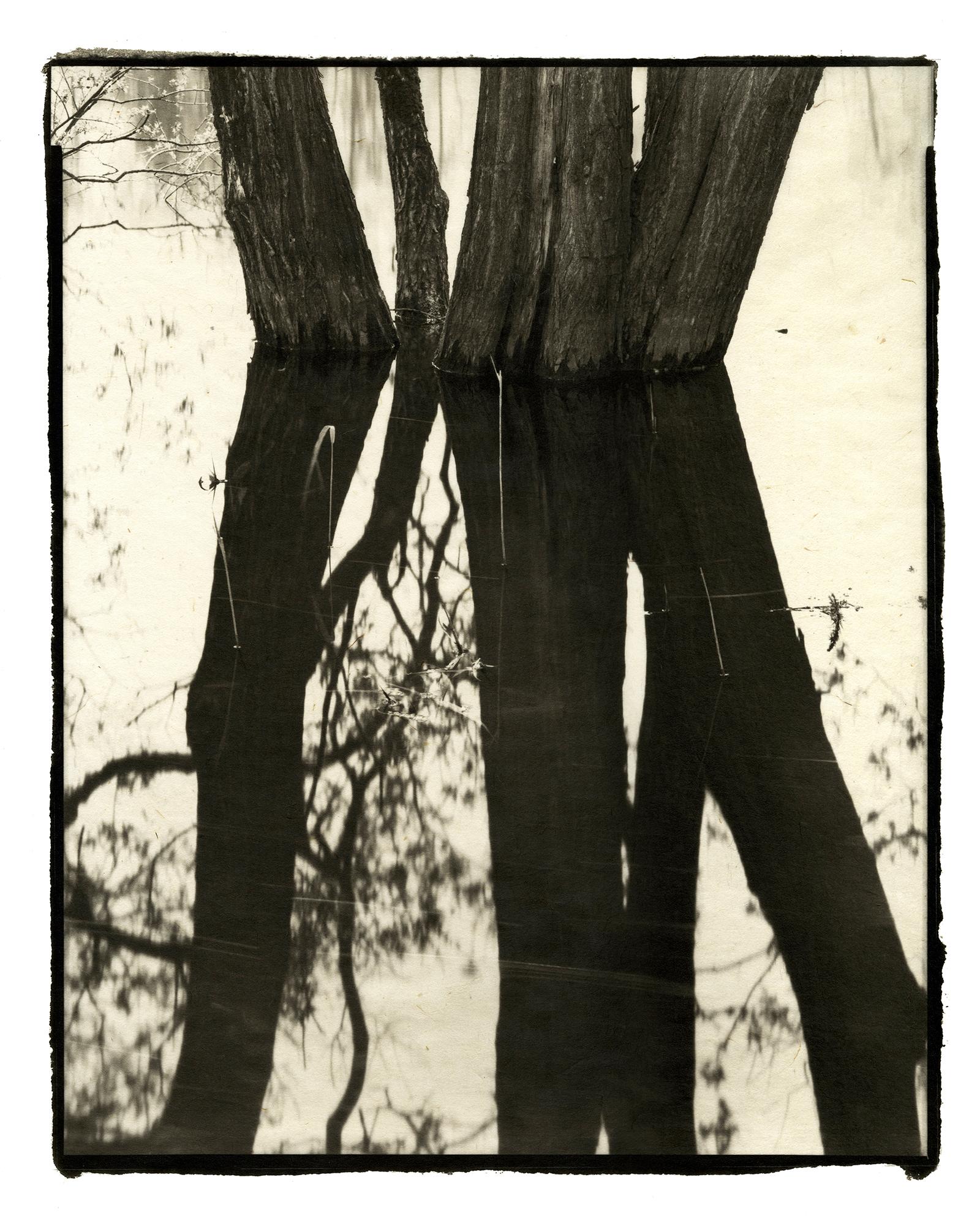 Nobuyuki Kobayashi - Ukiyo - 21st Century, Platinum/Palladium Print ...