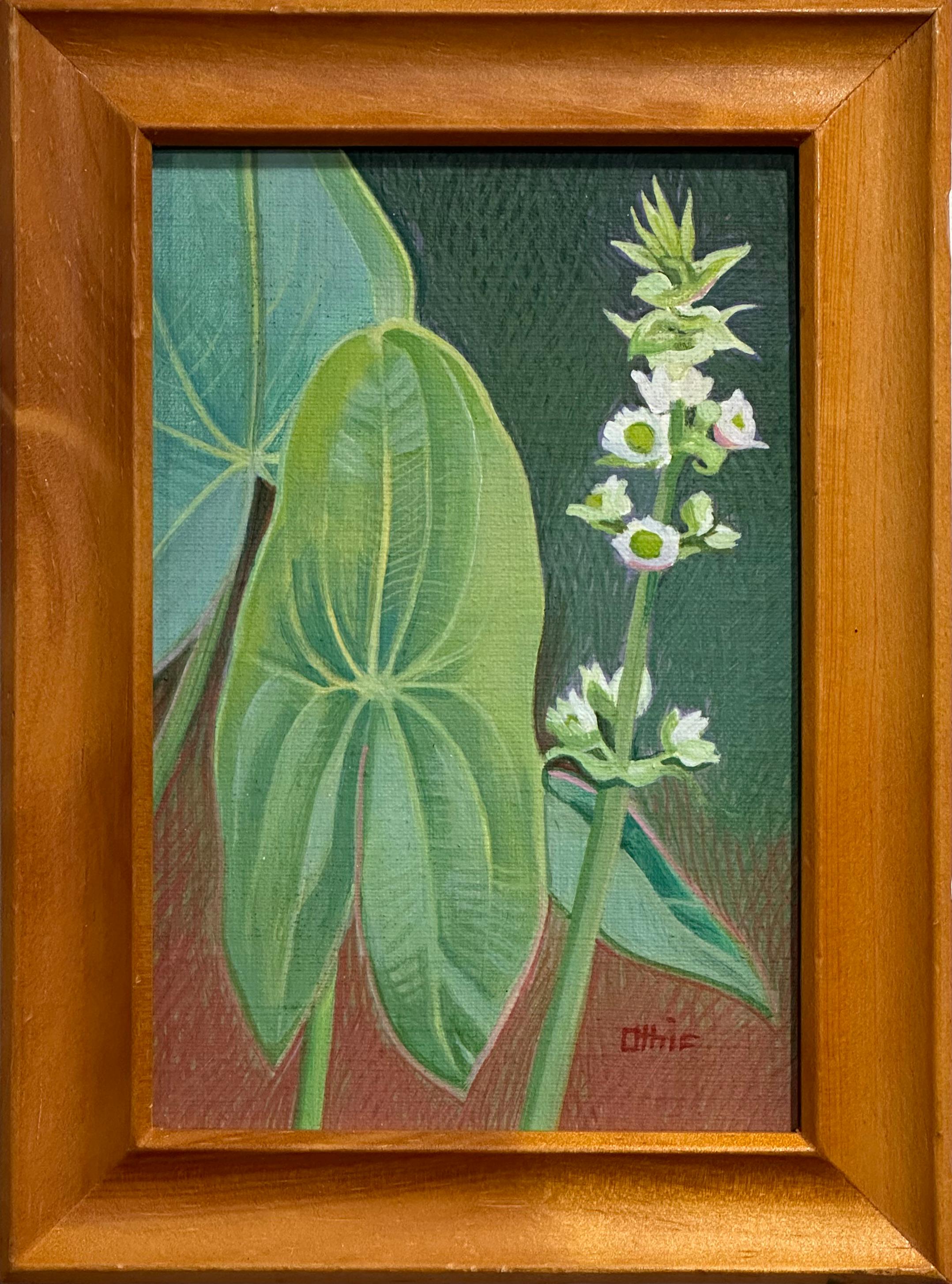 Nora Othic - Arrowhead For Sale at 1stDibs