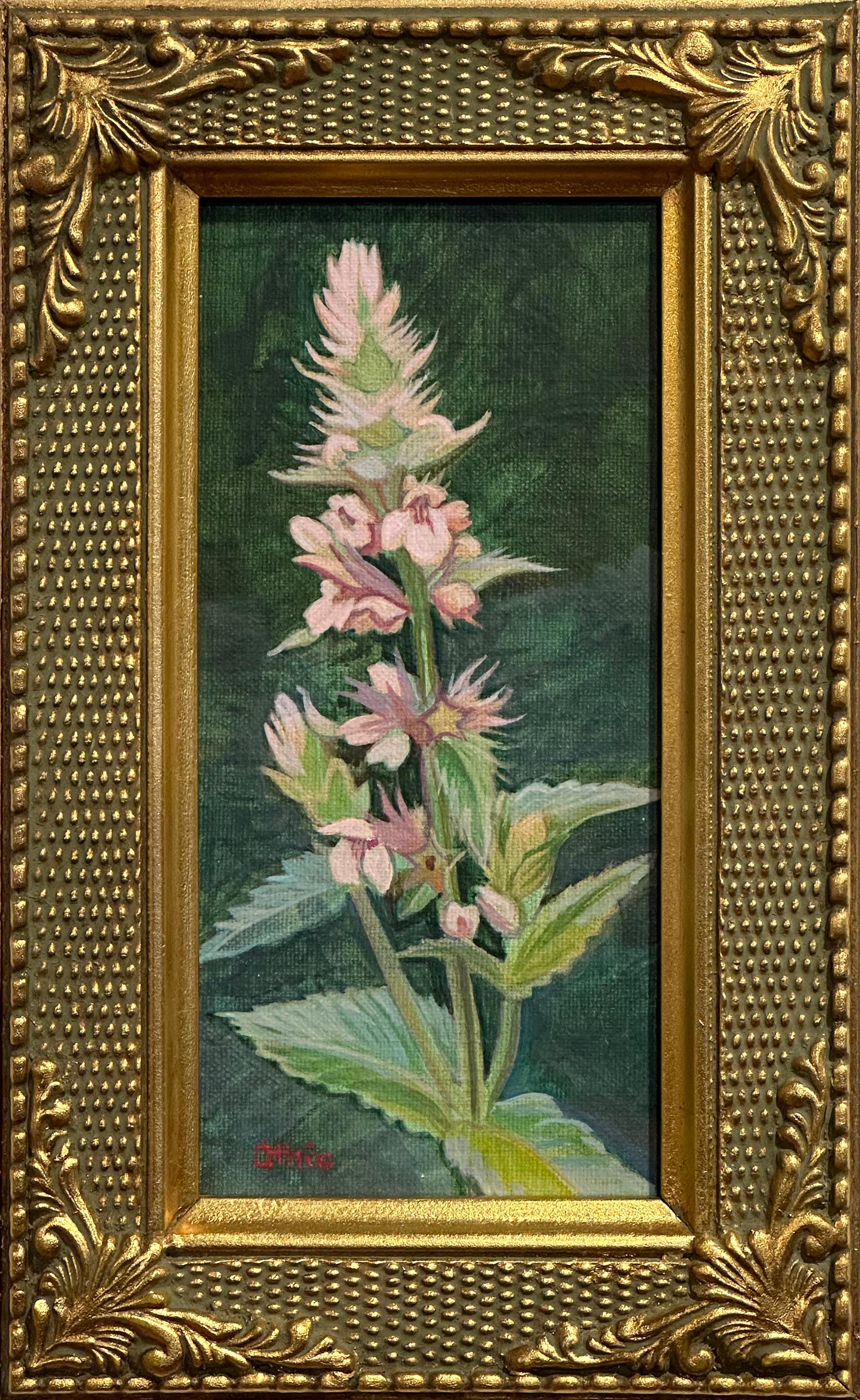 Nora Othic - Germander For Sale at 1stDibs