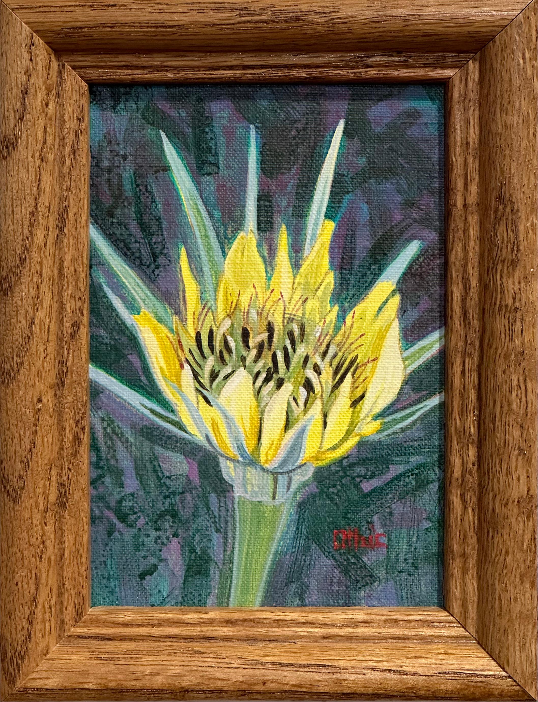 Nora Othic - Goat's Beard For Sale at 1stDibs