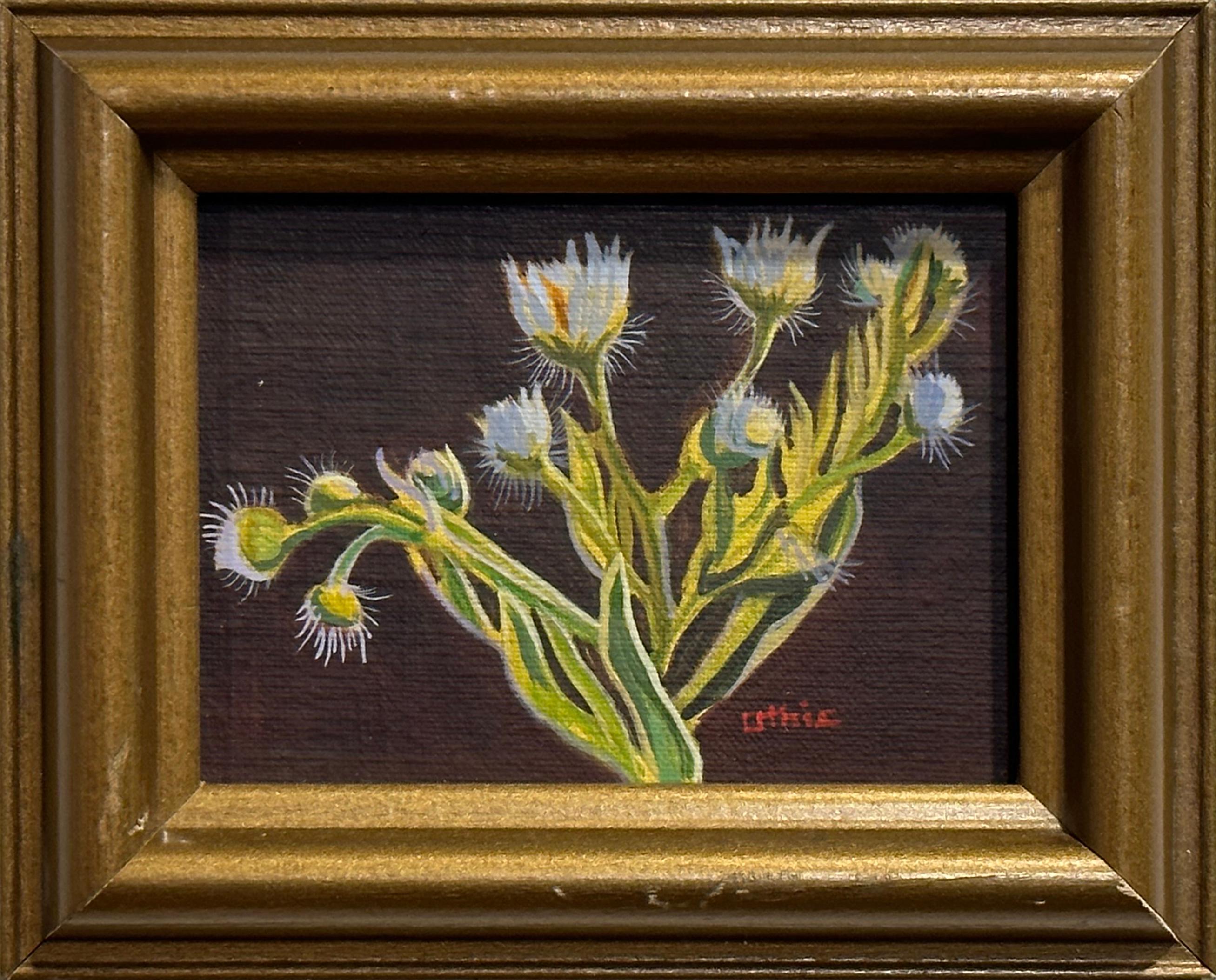 Nora Othic - White Heath Aster For Sale at 1stDibs