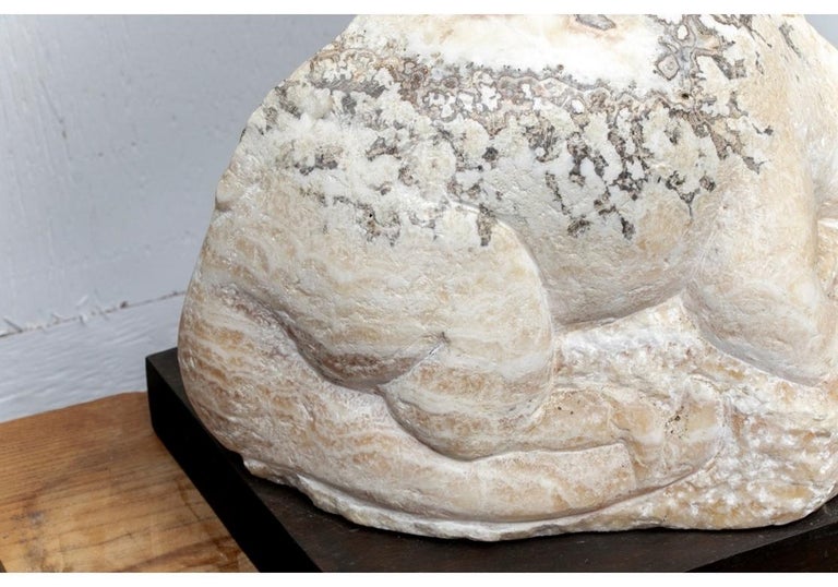 Norma B. Flanagan Carved Variegated Stone Turtle Sculpture For Sale at ...