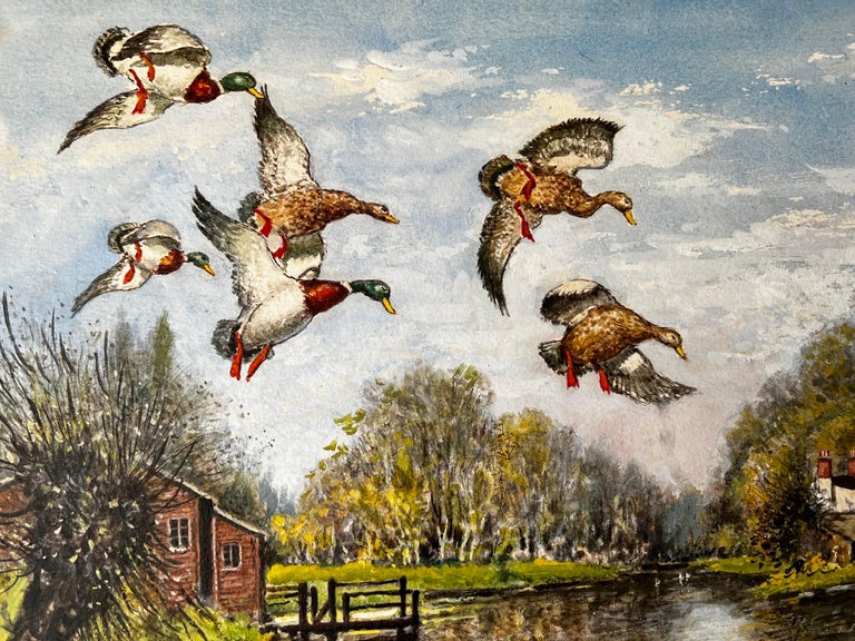 Norman A Olley - Mallard Ducks Dropping into The Ember Surrey River For ...