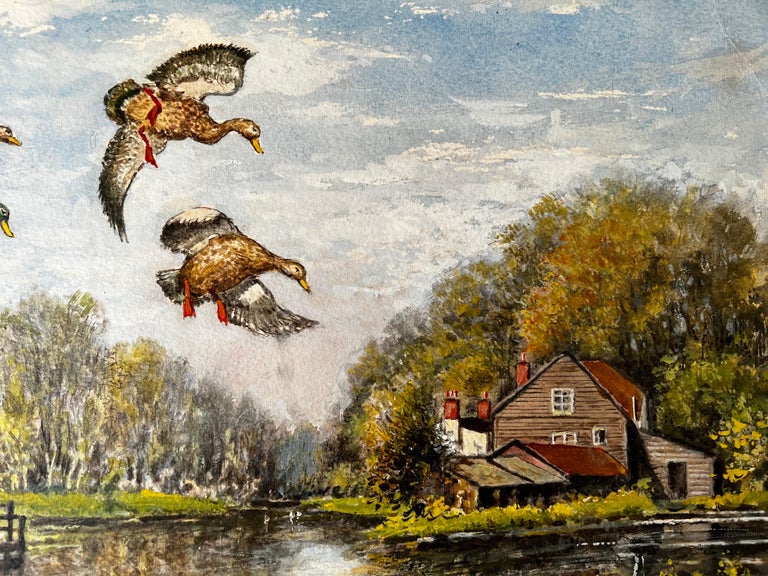 Norman A Olley - Mallard Ducks Dropping into The Ember Surrey River For ...