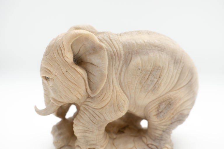 North American Moose Antler Carving of Elephant For Sale at 1stDibs ...