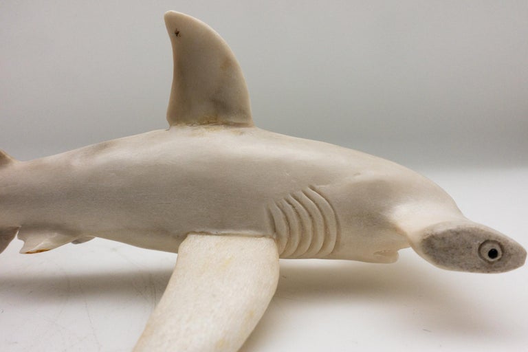North American Moose Antler Carving of Hammerhead Shark at 1stDibs