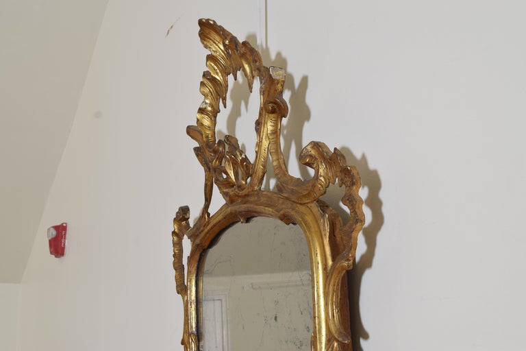 Northern Italian Rococo Period Grotto Style Mirror, Mid-18th Century ...